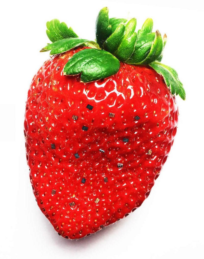 企业简介 • Azoteq