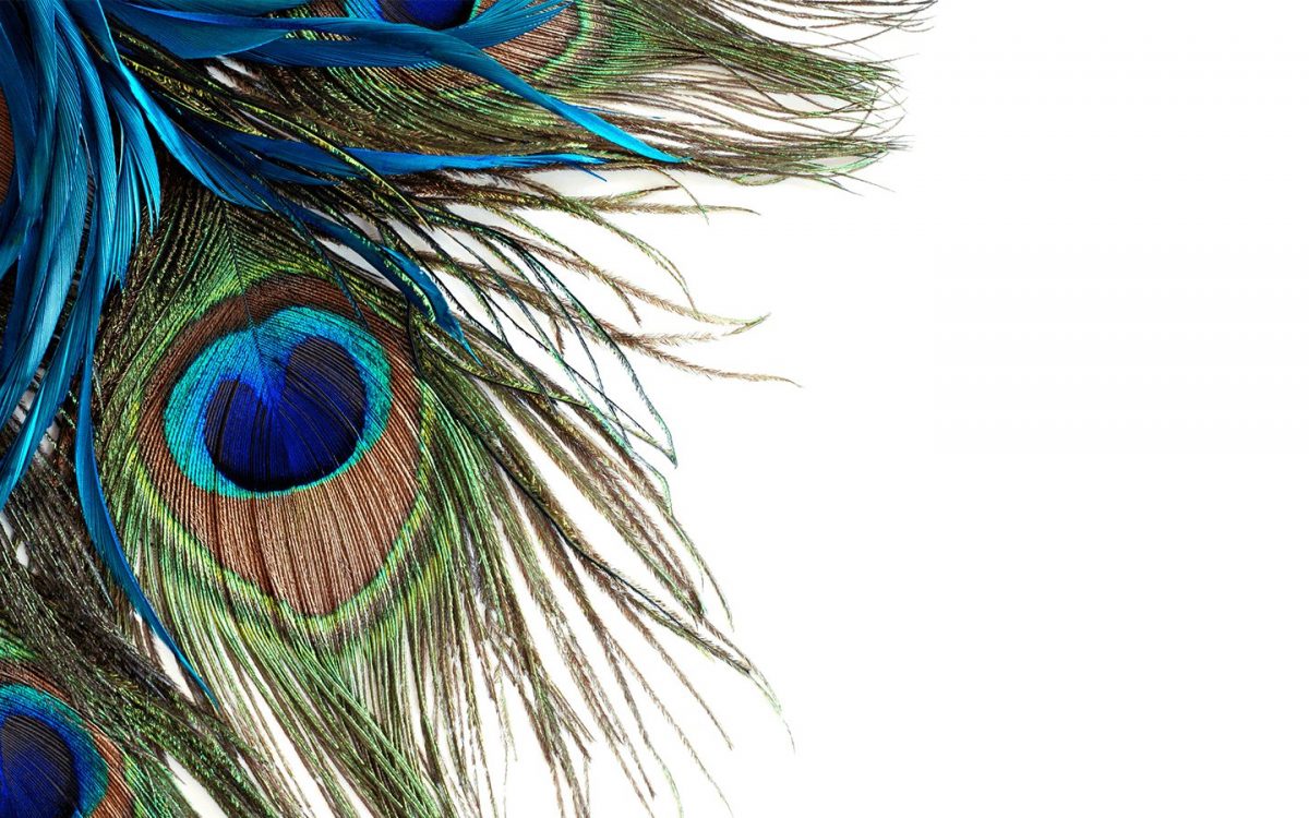 Azoteq • Meet the Precision Trackpad